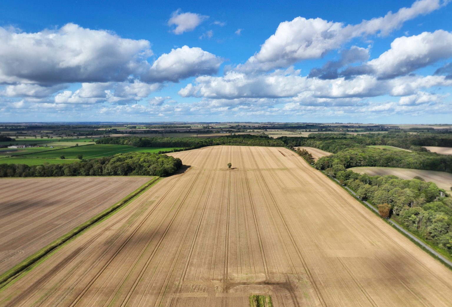 ‘The field of the future’: The Digital Technology Farms - Agrii Journal